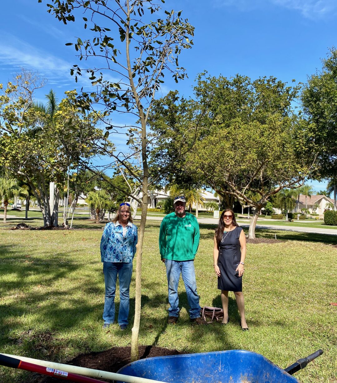 Calusa Garden Club Plants Two Native Trees for Florida Arbor Day ...